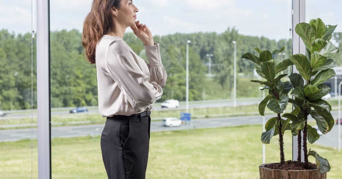 Die Pre-Exit-Strategie erfolgreich umsetzen | Marktlink