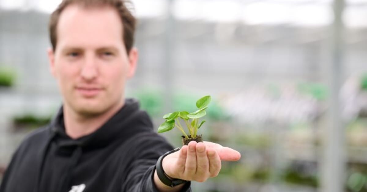 How the third generation of the Mostert family makes the… | Marktlink